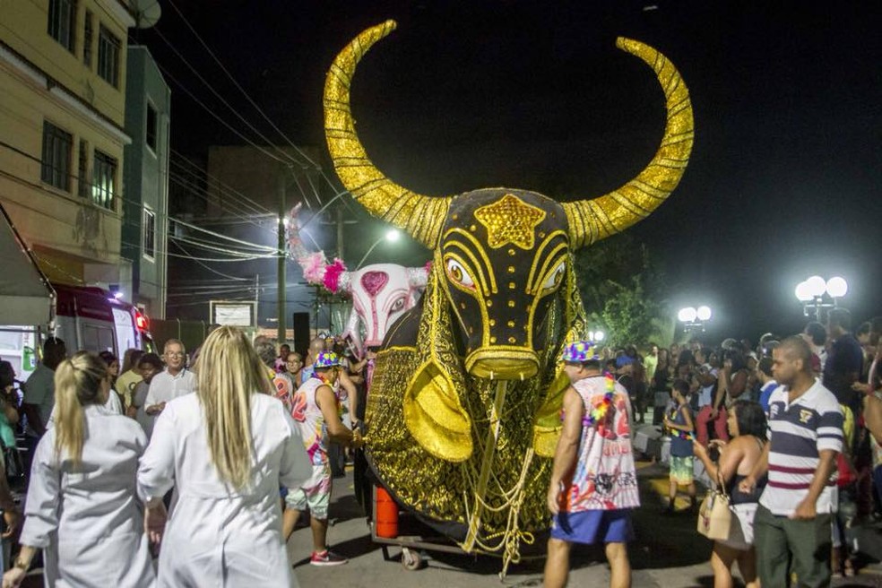 Blocos Carnavalescos E Matinê Animam Carnaval De Barra Mansa Rj Sul