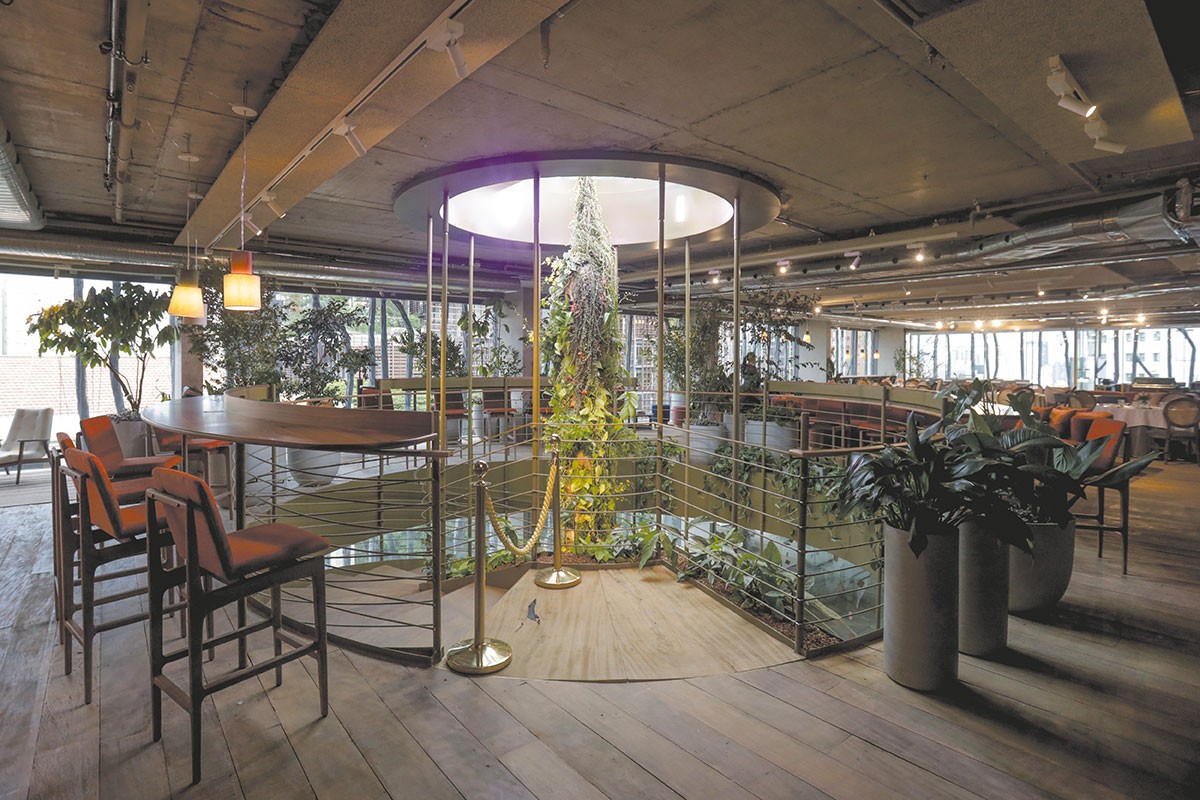 AYA Earth Partners nasce com impacto positivo para negócios, natureza e ...