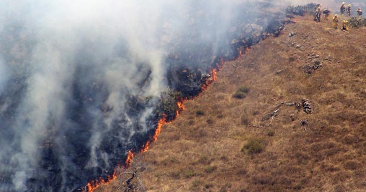 G1 - Queda de monomotor mata piloto e causa incêndio em mata nos EUA ...