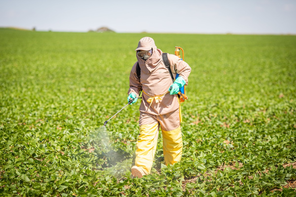 Governo abre consulta sobre defensivos para minor crops | Agricultura ...