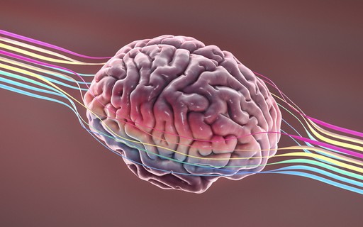 Suplementação cerebral: quais são os melhores ativos, benefícios e ...