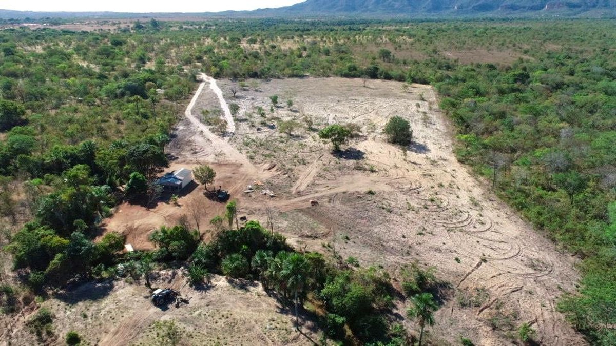 Polícia Militar Ambiental autua homem em R$ 2 milhões por desmatamento ilegal no Tocantins ...