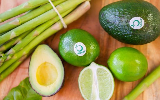 Cientistas de Israel plantam sementes de tâmara guardadas há 2 mil anos ...