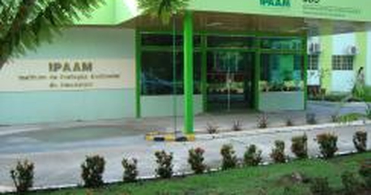 G1 - Ipaam deve lançar concurso público com mais de 100 vagas, no AM ...