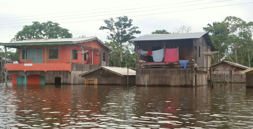 Cheia em cidade inundada no AM afeta mais de 4 mil pessoas | Amazonas | G1