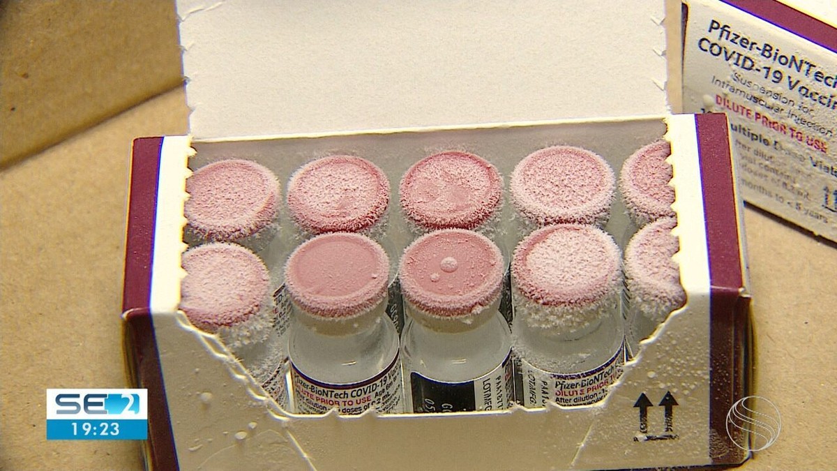 Sergipe recebe primeira remessa da Pfizer para bebês | Sergipe | G1