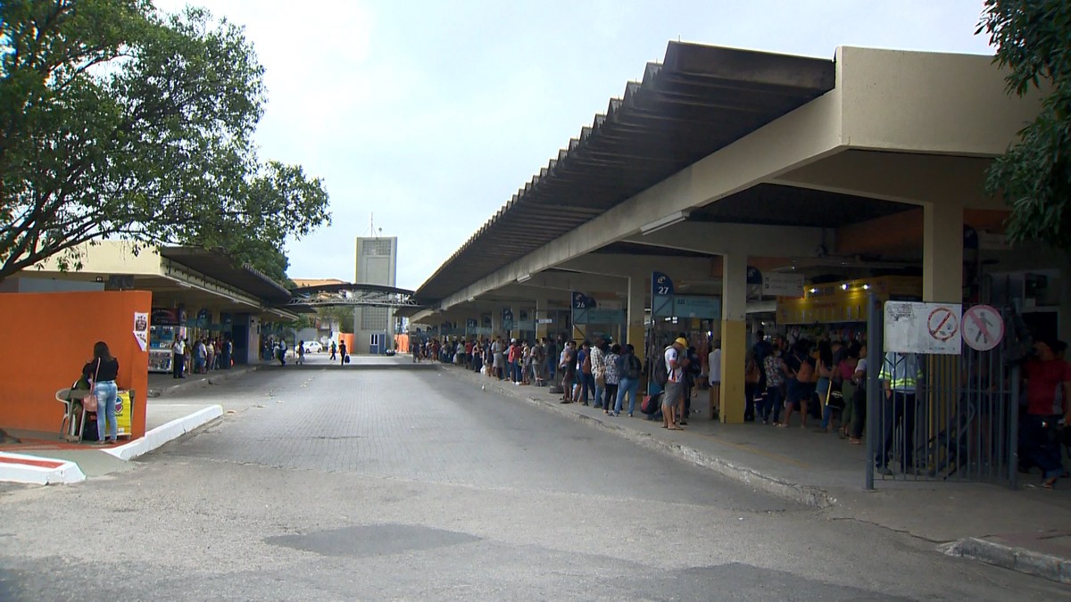 Frota do Transcol será reforçada no domingo de eleição | Eleições 2022 ...