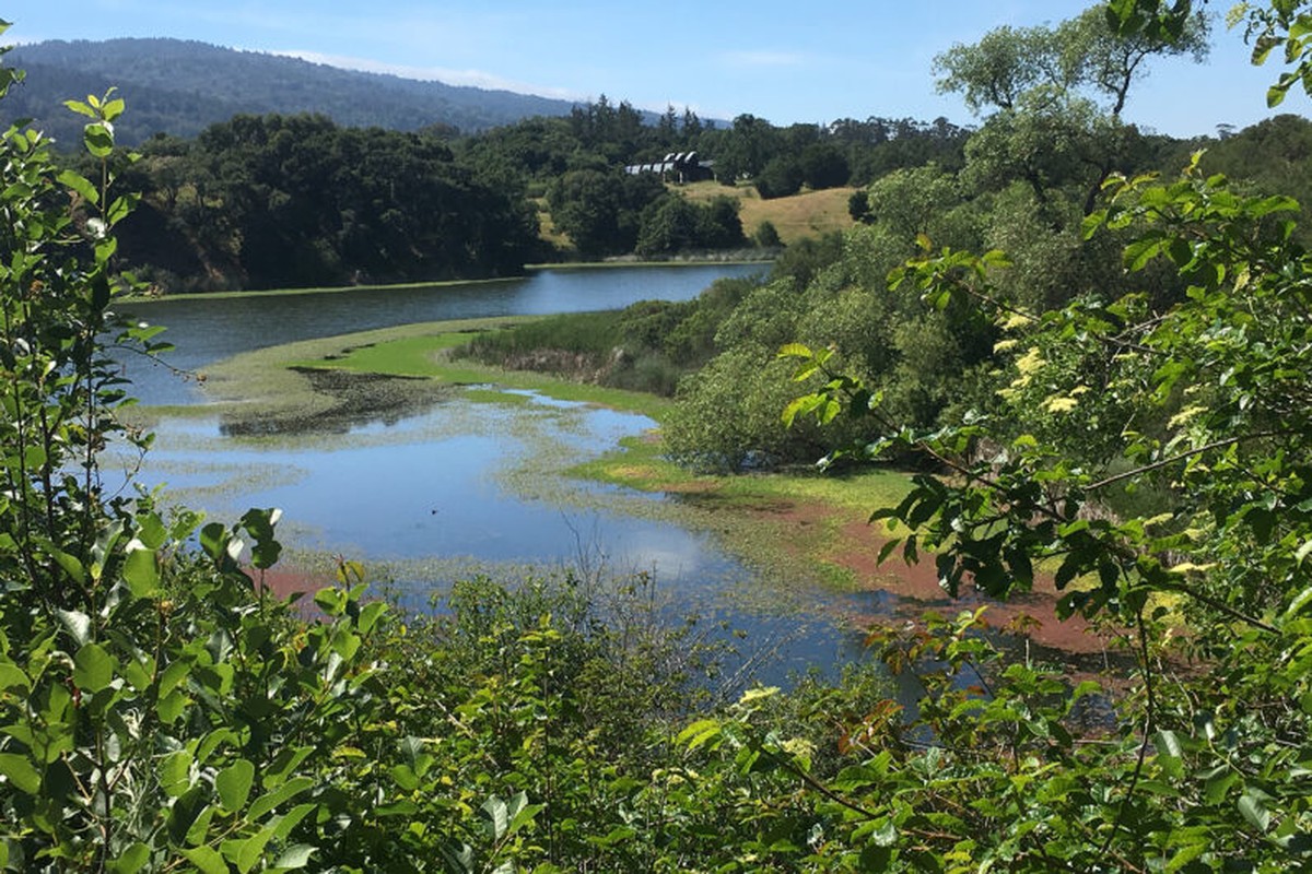 Como administrar áreas verdes -- quando a natureza não dá conta sozinha ...