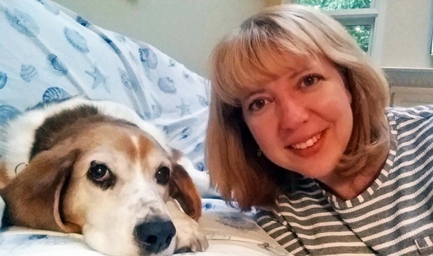 Natureza - Coleira é capaz de monitorar se animal está com febre ou com dor