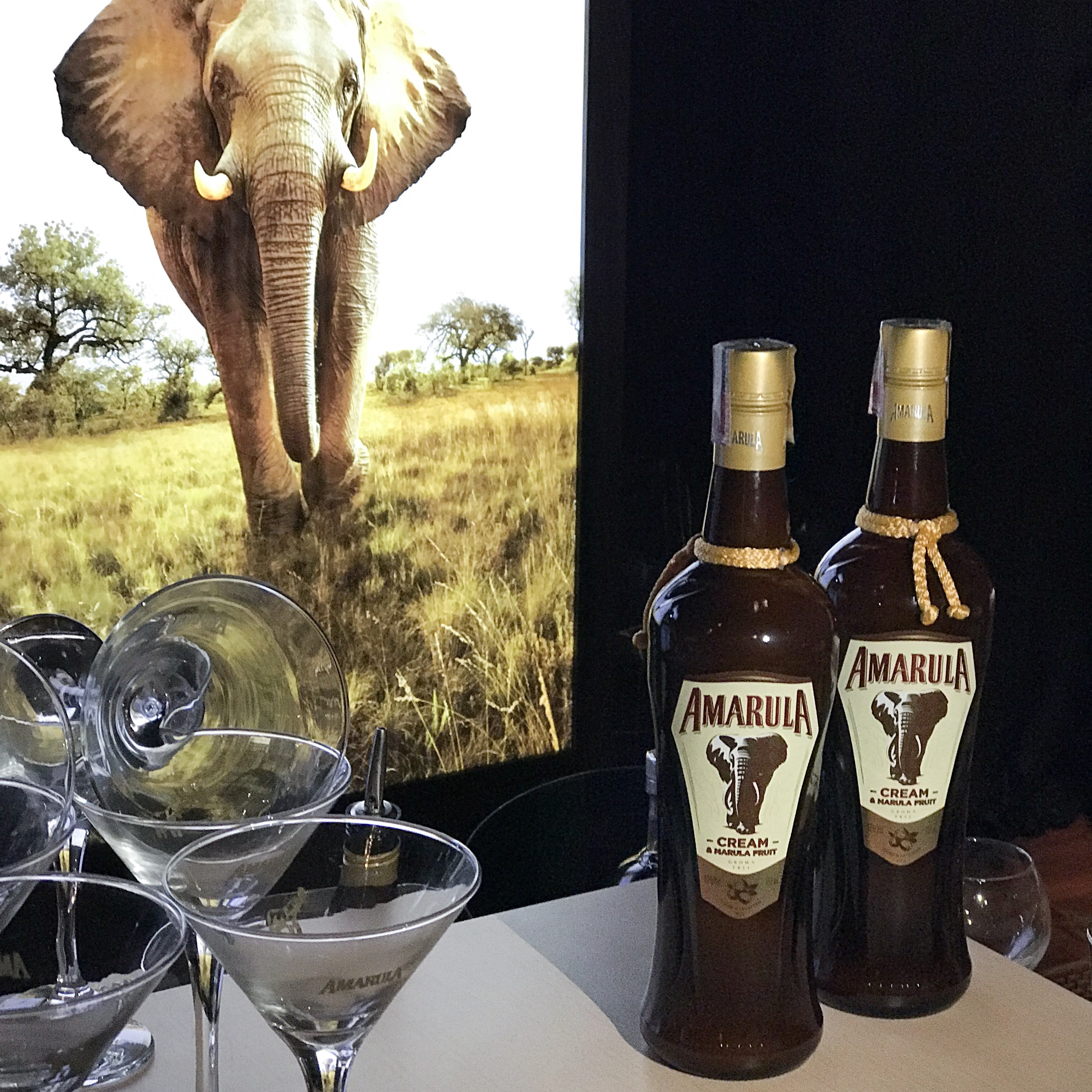 Amarula lança nova garrafa e faz parceria com santuário de elefantes ...