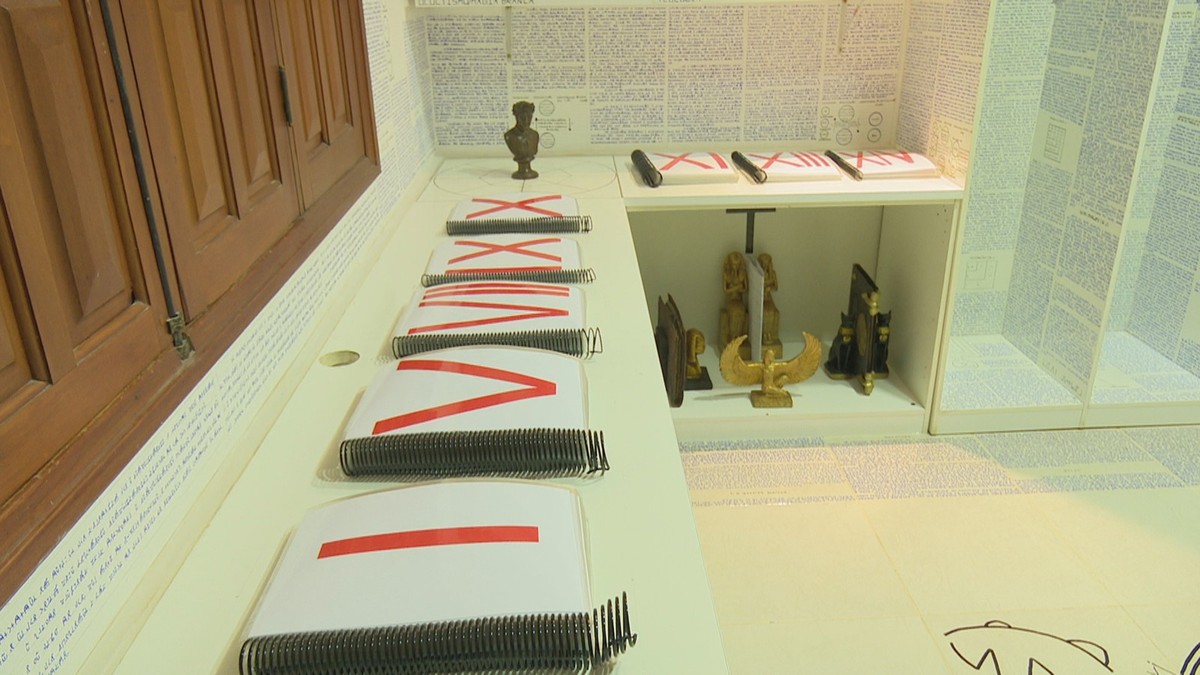 Primeiro livro de Bruno Borges deve ser lançado no início de julho, diz ...