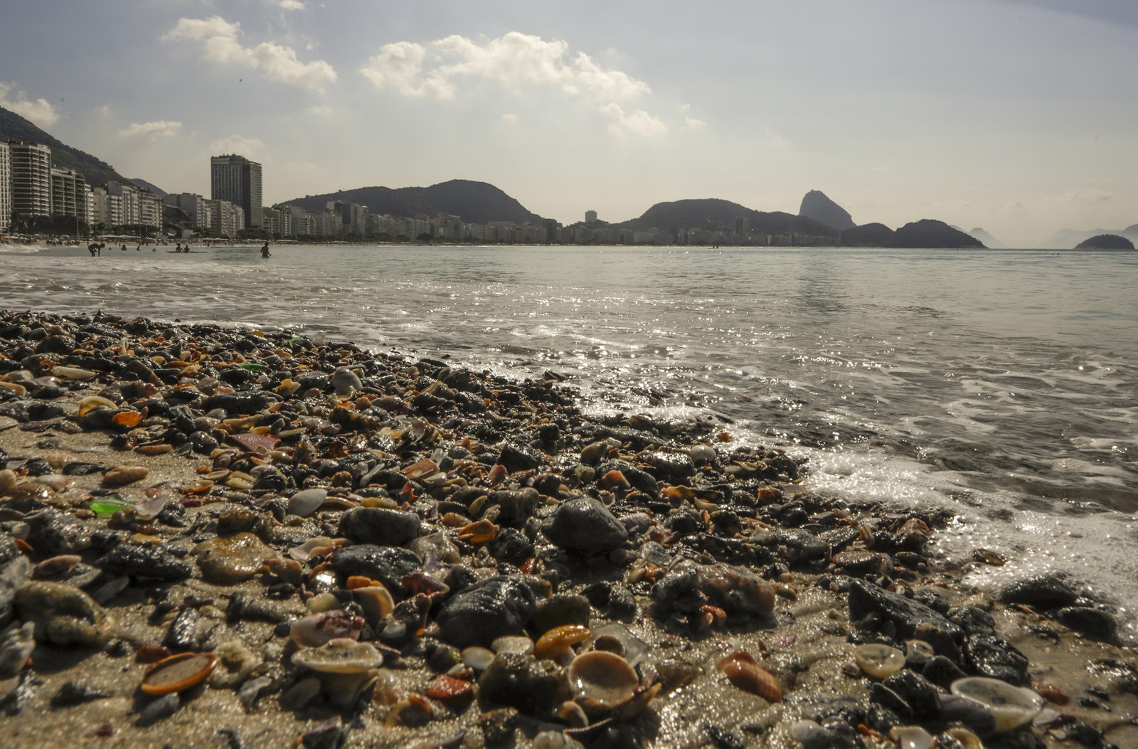 Entenda o que fez areia da Praia de Copacabana ficar coberta de conchas