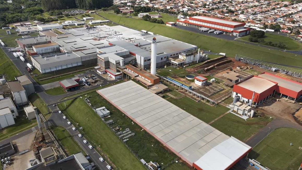 BRF faz mutirão de contratação em Uberlândia; confira detalhes das ...