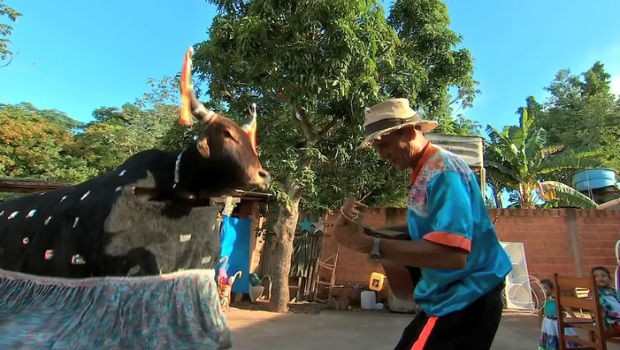Rede Globo > É Bem Mato Grosso - Saiba como o Grupo Voa Tuiuiu mantém a ...