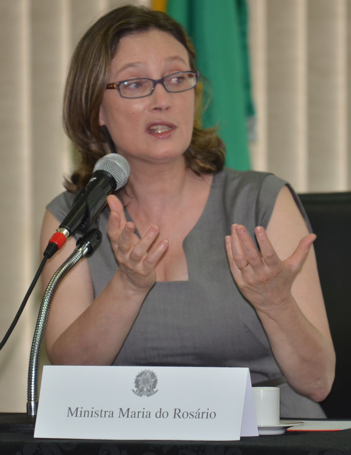 Deputada Maria do Rosário é assaltada e tem carro roubado em Porto ...