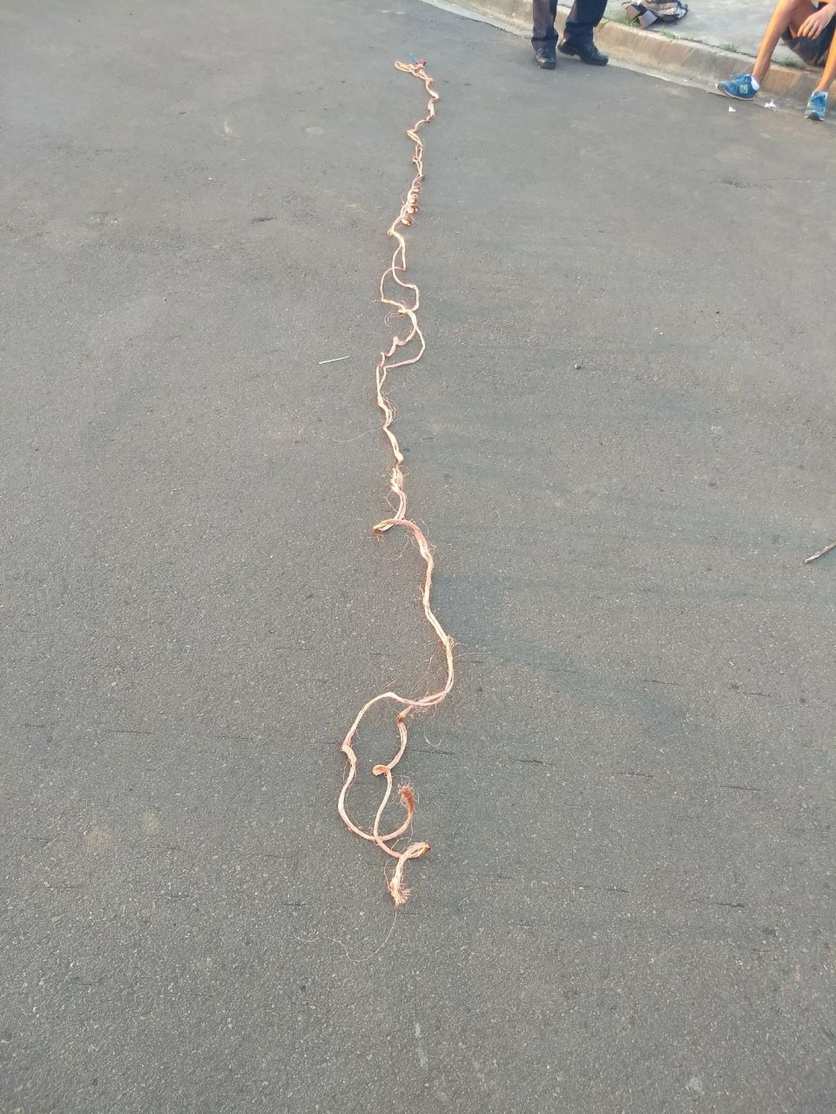 Moradores Ajudam A Prender Suspeito De Furtar Fios Elétricos Em São