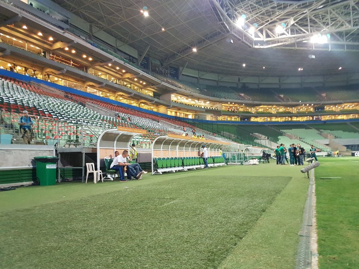 Arena do Palmeiras estuda criar espaço VIP para torcedores em dias de ...