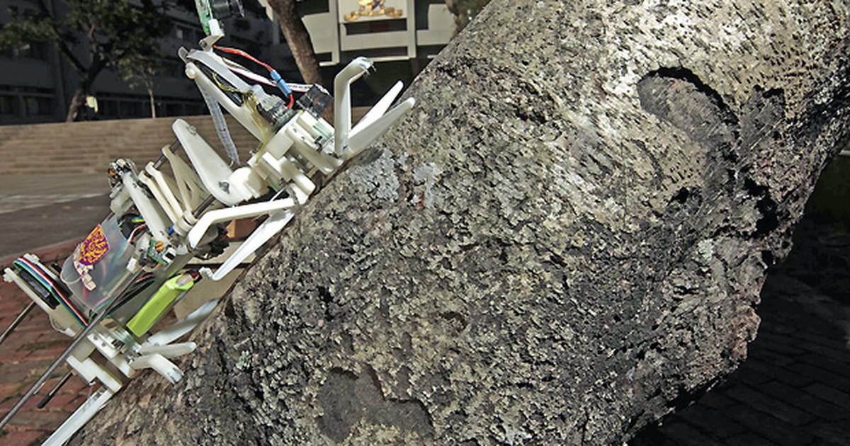 G1 - Universitários chineses exibem robô que sobe em árvores - notícias ...