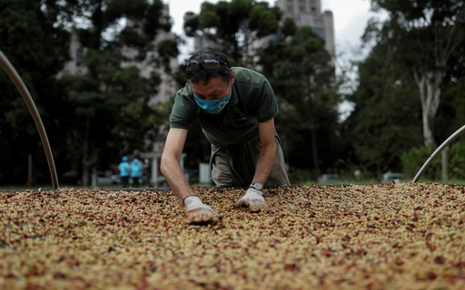 Rabobank revisa para cima safras de café do Brasil após verificar ...