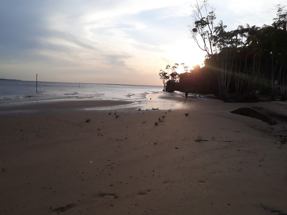 Dia do Turismo Ecológico: de parques a ilha, conheça 5 roteiros para ...