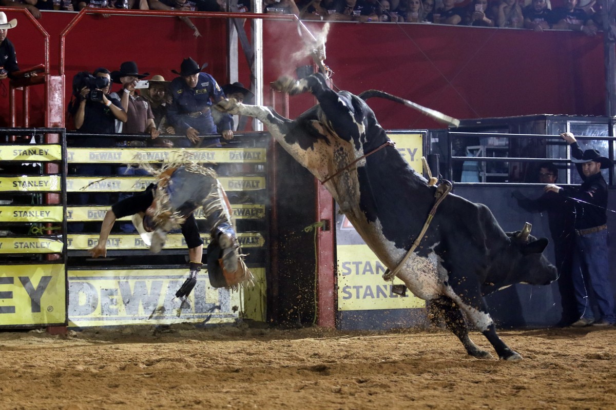 Rodeio de Jaguariúna recebe estilo de montaria em touros disputado pela ...