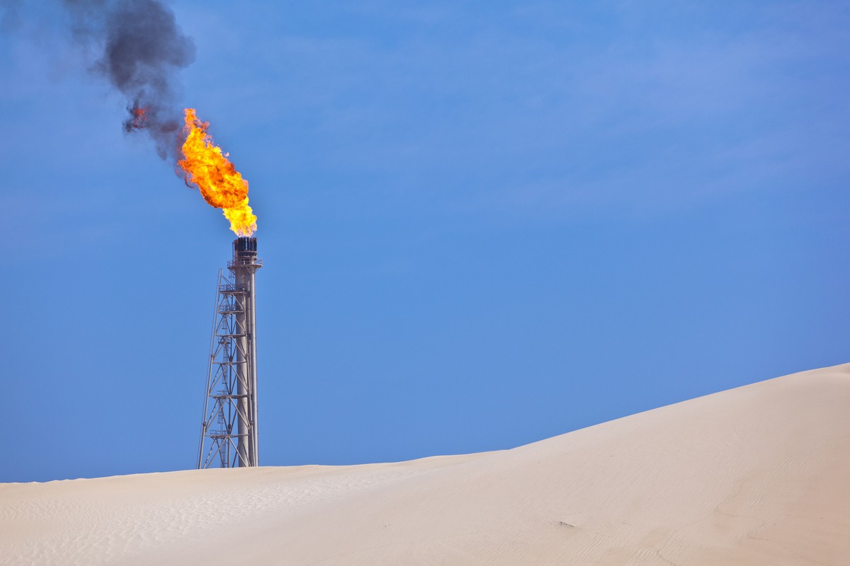 Opep+ decide aumentar produção de petróleo em 2021 | Internacional e ...