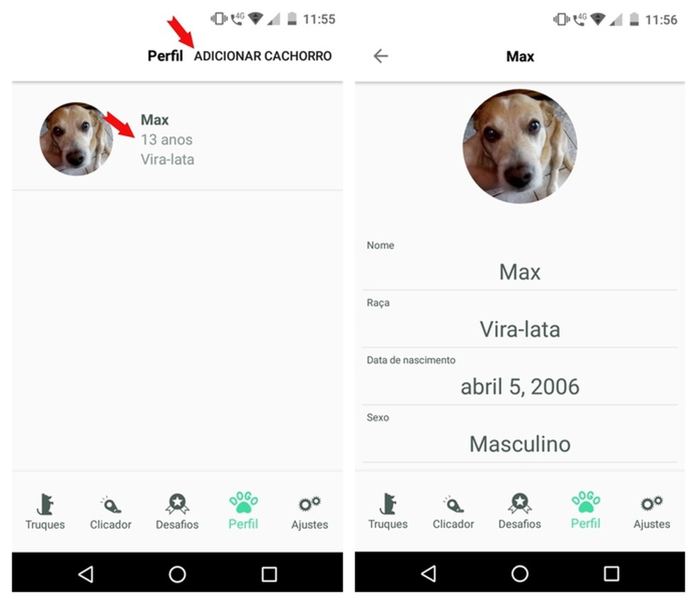 Como ensinar e treinar o seu cachorro com a ajuda do aplicativo Dogo ...