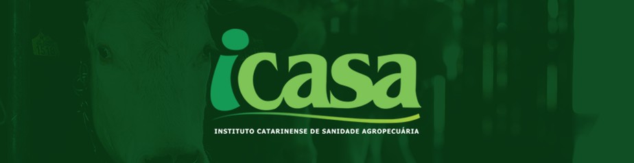 Saiba quem é o ICASA e entenda como o instituto contribui para garantir ...