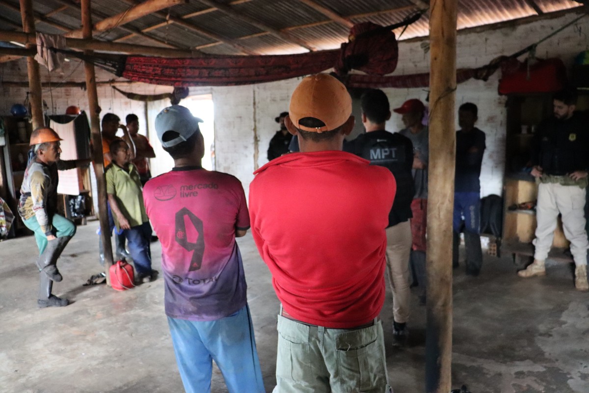 Maranhão tem oito empregadores na Lista Suja do Trabalho Escravo, aponta ministério | Maranhão | G1