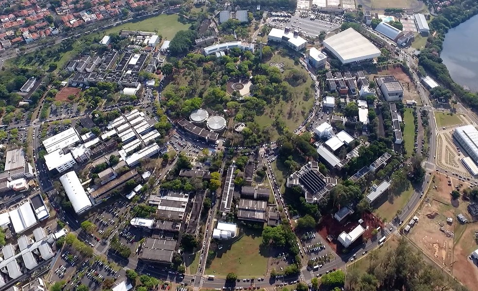 Realização de sonho e nova carreira para driblar a crise motivam idosos ...