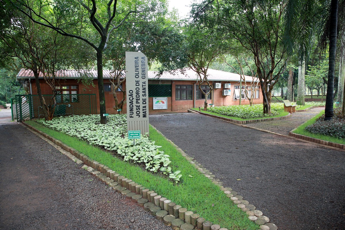 Mata de Santa Genebra abre inscrições para visita monitorada | Campinas ...