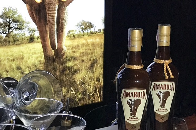 Amarula lança nova garrafa e faz parceria com santuário de elefantes ...