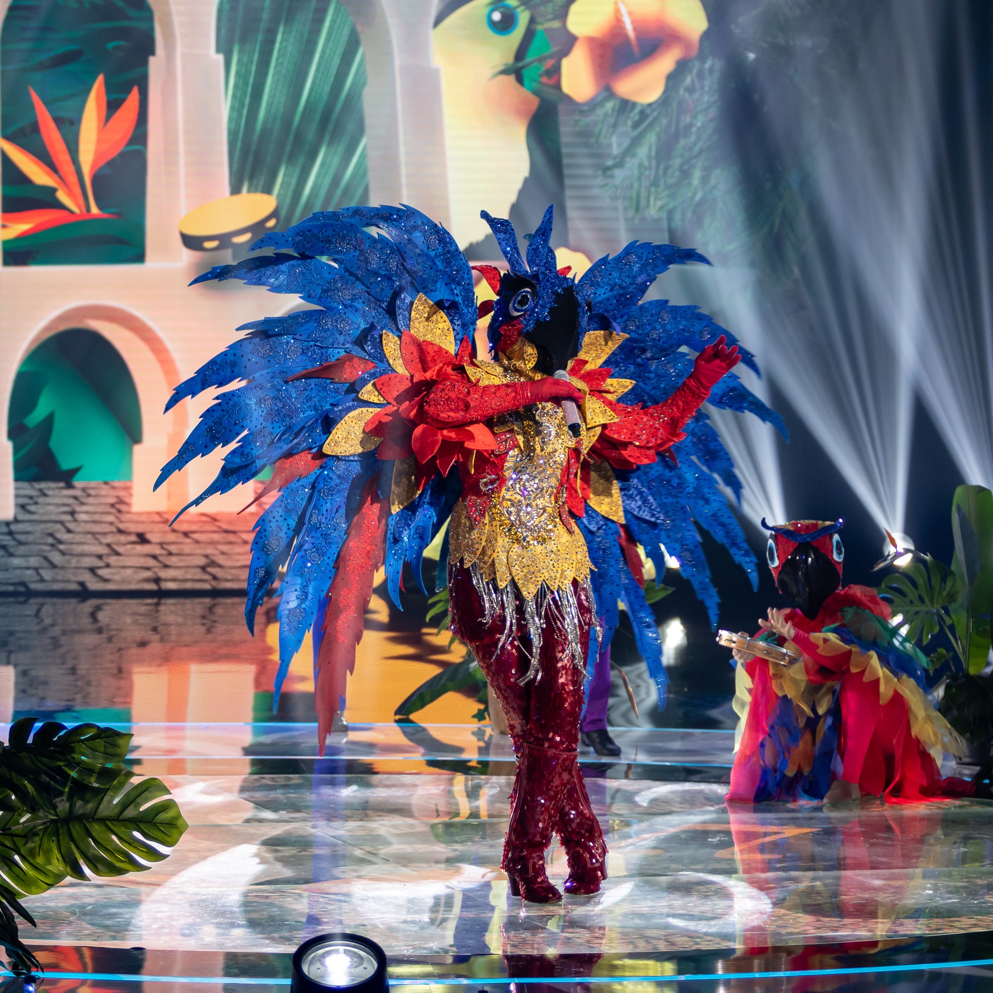 Quem você acha que é a Arara no 'The Masked Singer Brasil? | The Masked ...