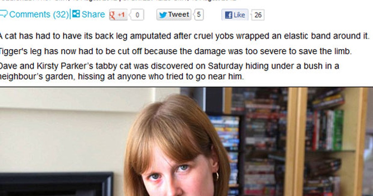 G1 - Gato encontrado com elástico amarrado na pata sofre amputação ...