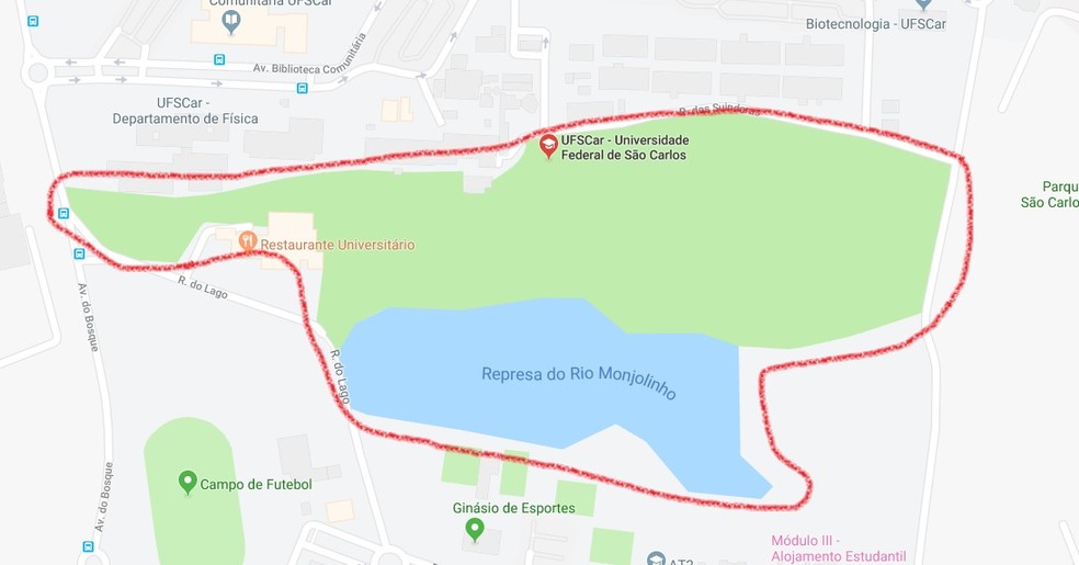 UFSCar alerta sobre a infestação de carrapatos-estrela em áreas perto ...