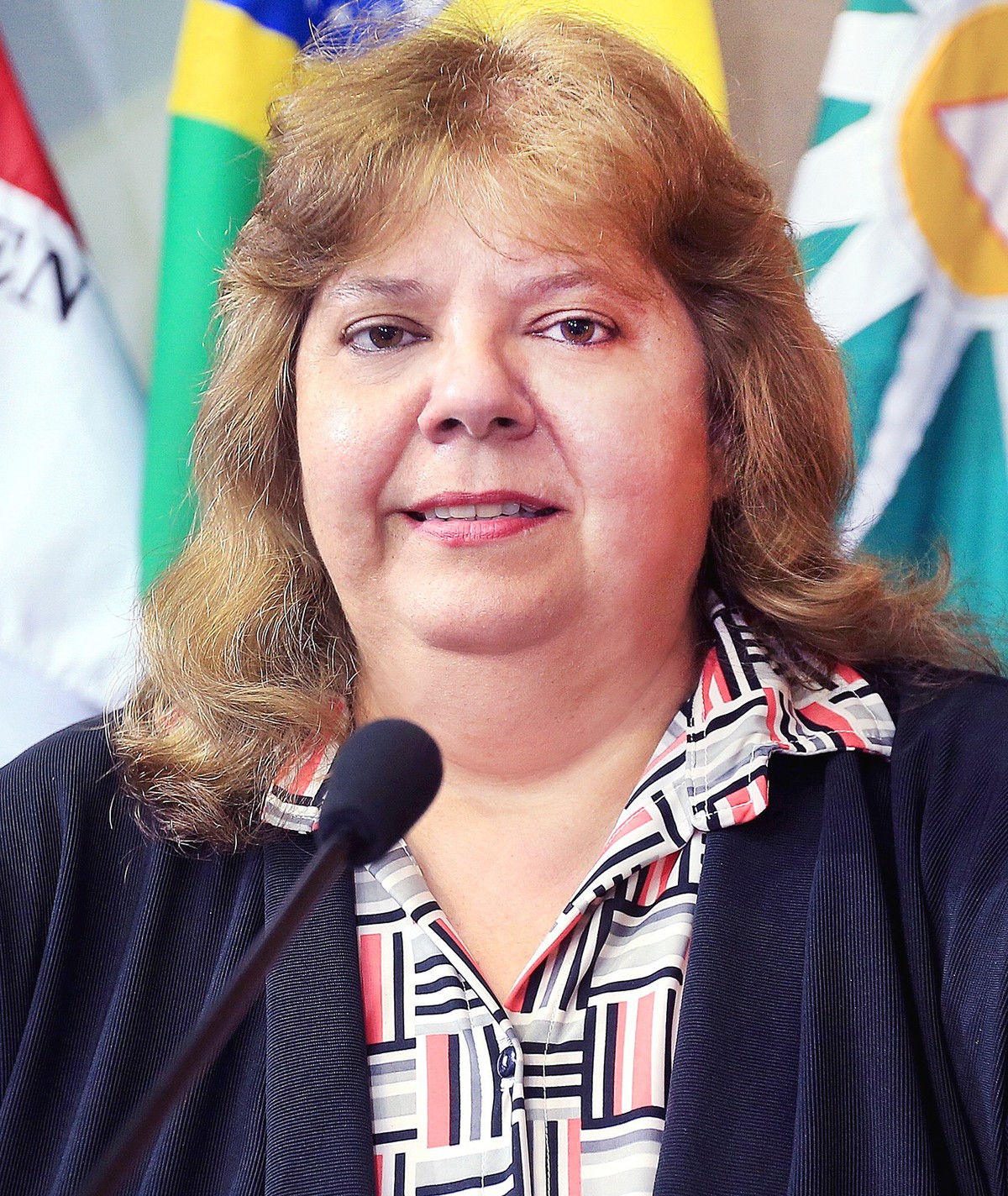 Veto ao projeto que homenageia a vereadora Drika Protetora é mantido ...