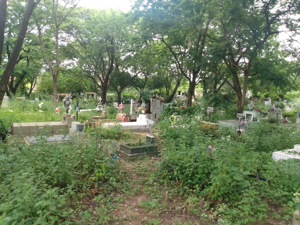 Imagem de caixão boiando em cova aberta viraliza; caso ocorreu no Piauí ...