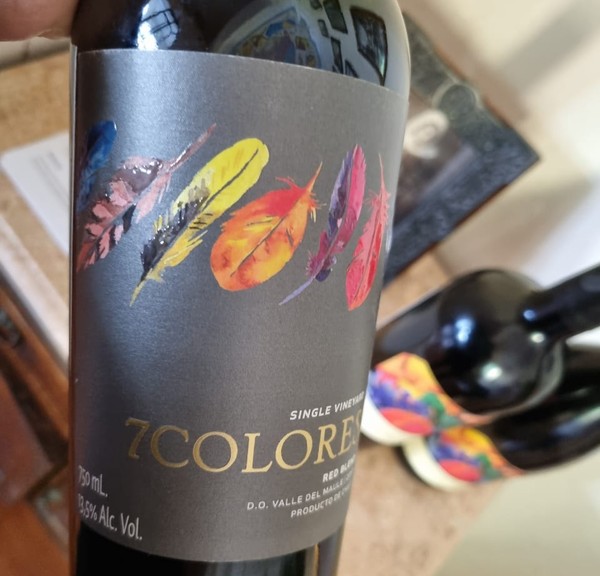 Blends inovadores marcam a trajetória da jovem vinícola chilena 7 Colores