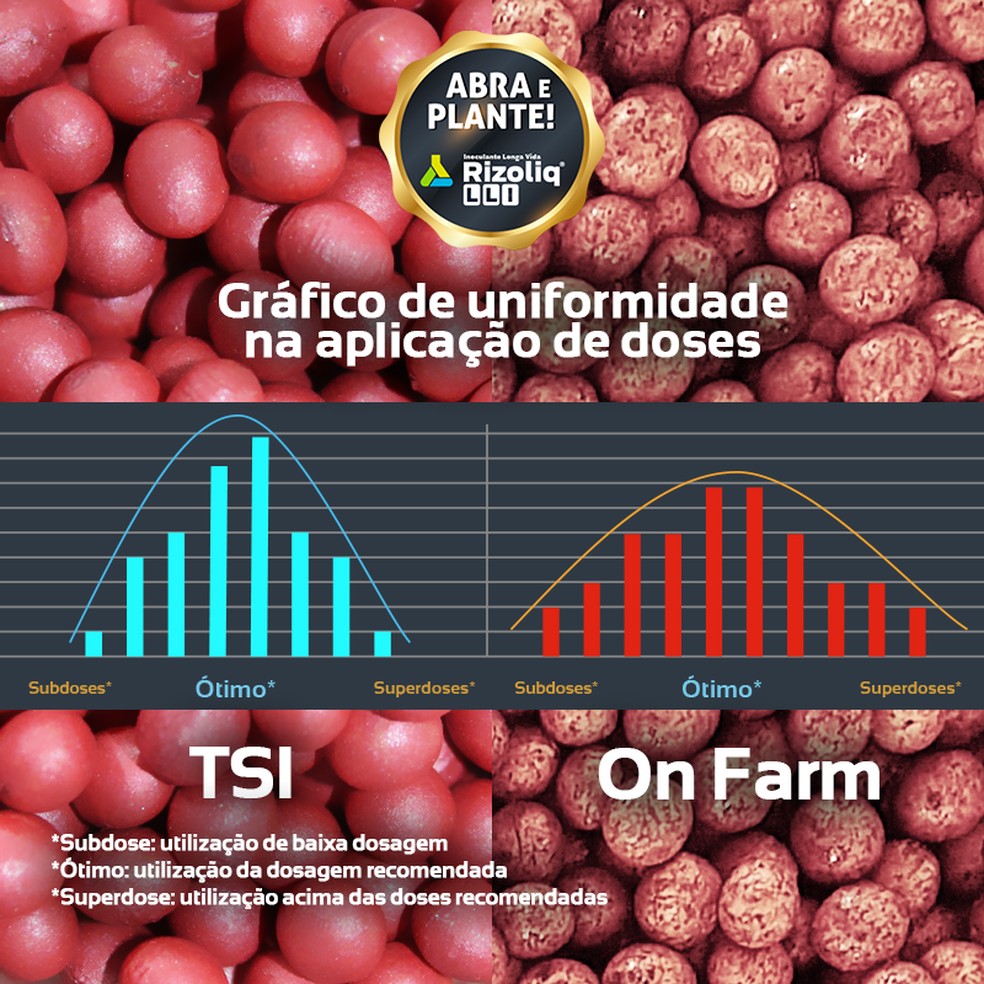 Rizobacter desenvolve inoculante aplicado na indústria de sementes ...