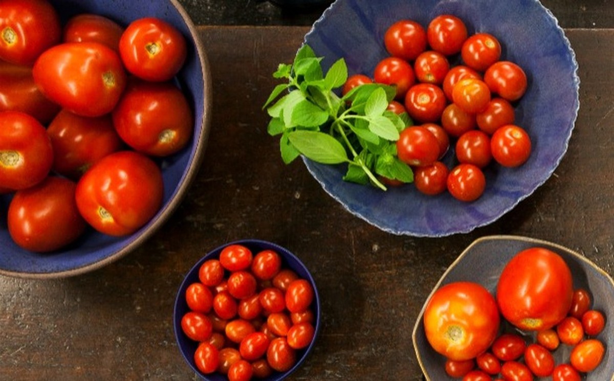 Tipos de tomate: conheça as diferenças e seus bene