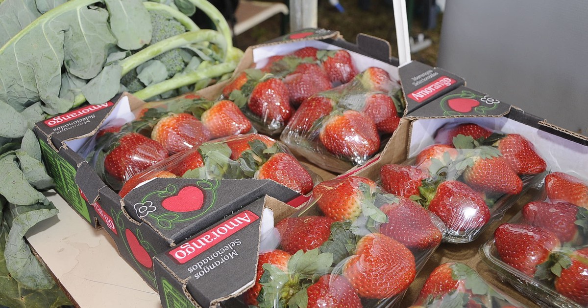 G1 - Nova Friburgo, RJ, terá Feira de Morango e Chocolate em outubro ...