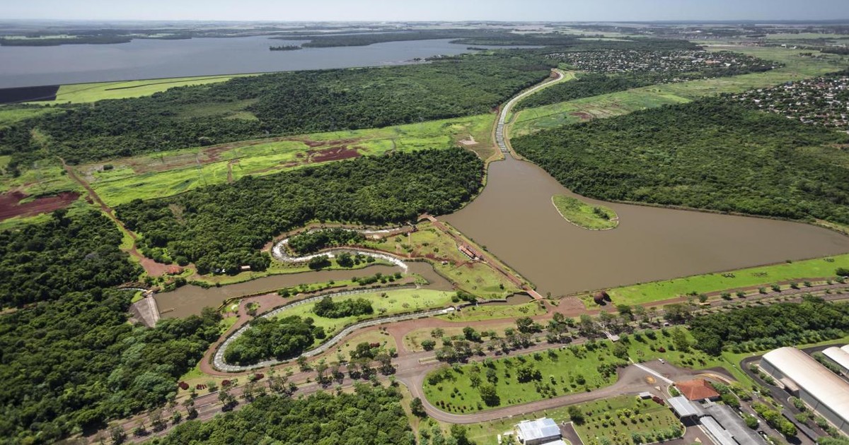 G1 - Seis anos depois de marcado, peixe é visto de novo no Canal da ...