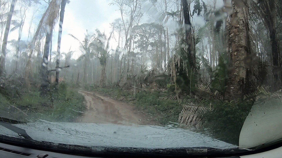 Justiça Federal determina que União e Funai apresentem plano de ...