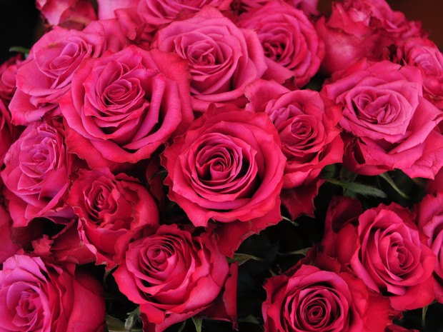 G1 - Expoflora reúne rosas em arranjos e aroma integra recheio de ...