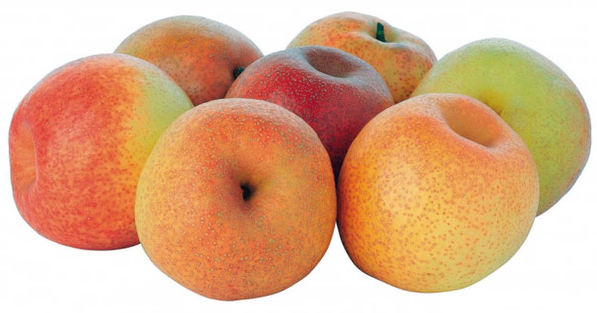 G1 - Conheça as frutas mais exóticas do mundo - notícias em Mundo