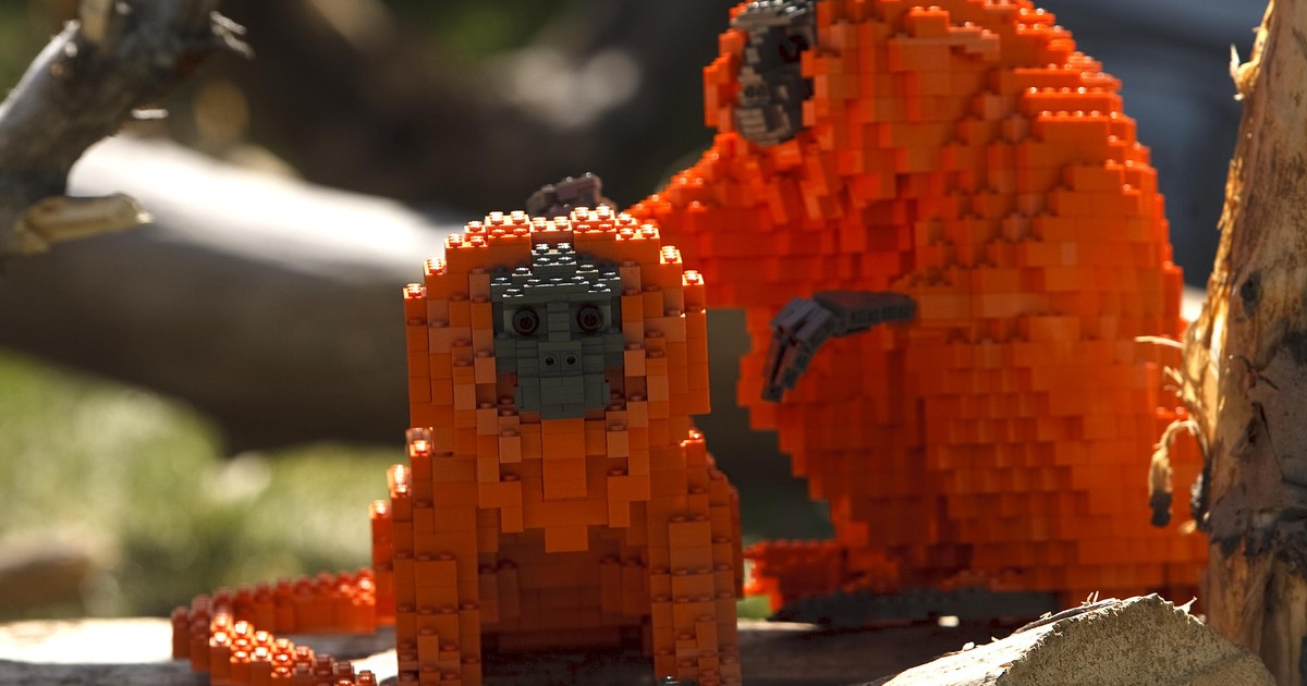 G1 - Artista usa 125 mil peças para criar 'zoológico de Lego' nos EUA ...