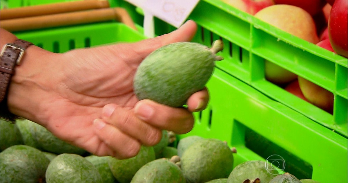 Globo Repórter - Fruta brasileira desconhecida no país faz sucesso na ...