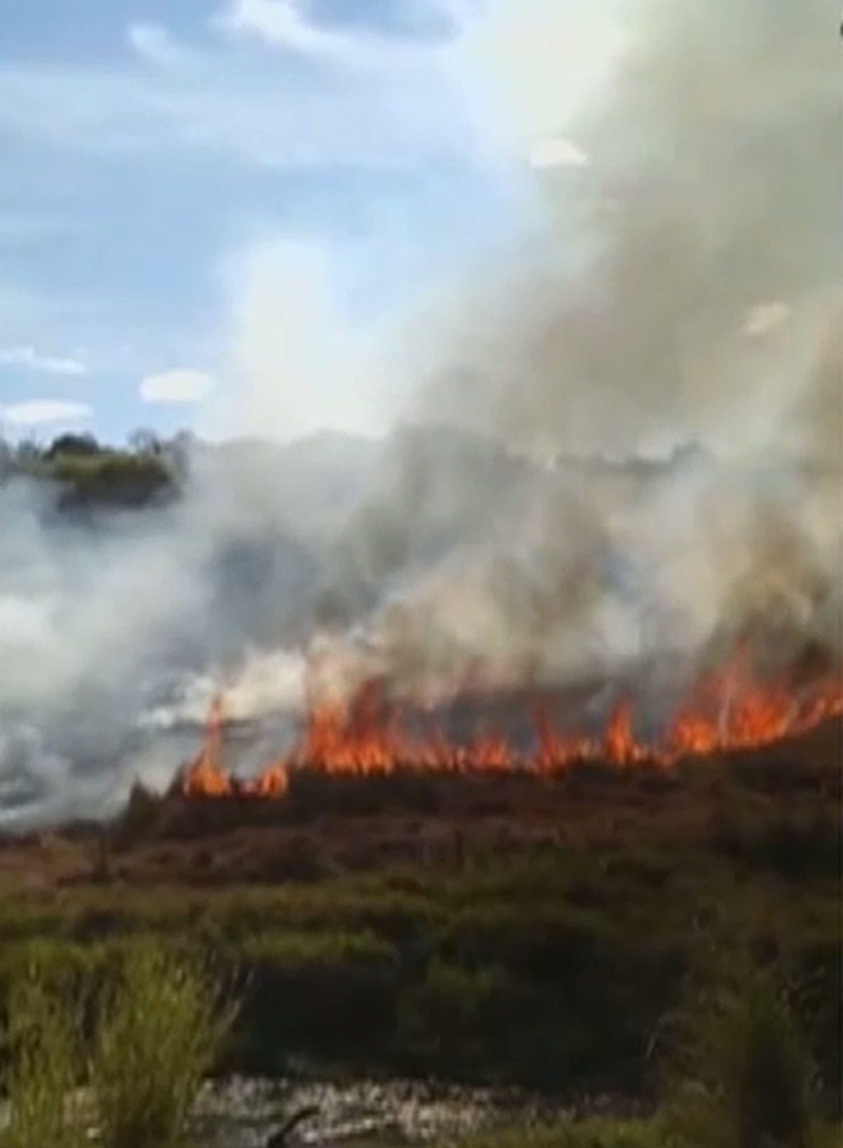 Incêndio atinge vegetação às margens da BR-154 em Ituiutaba | Triângulo ...