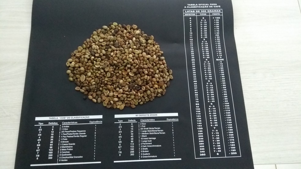 Curso de classificação de grãos de café será oferecido a produtores de ...