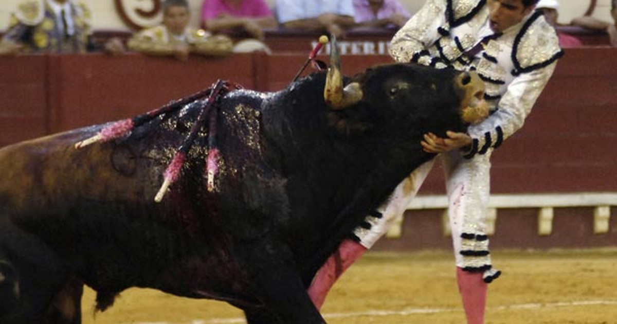 G1 - Toureiro mexicano é chifrado em tourada no sul da Espanha ...